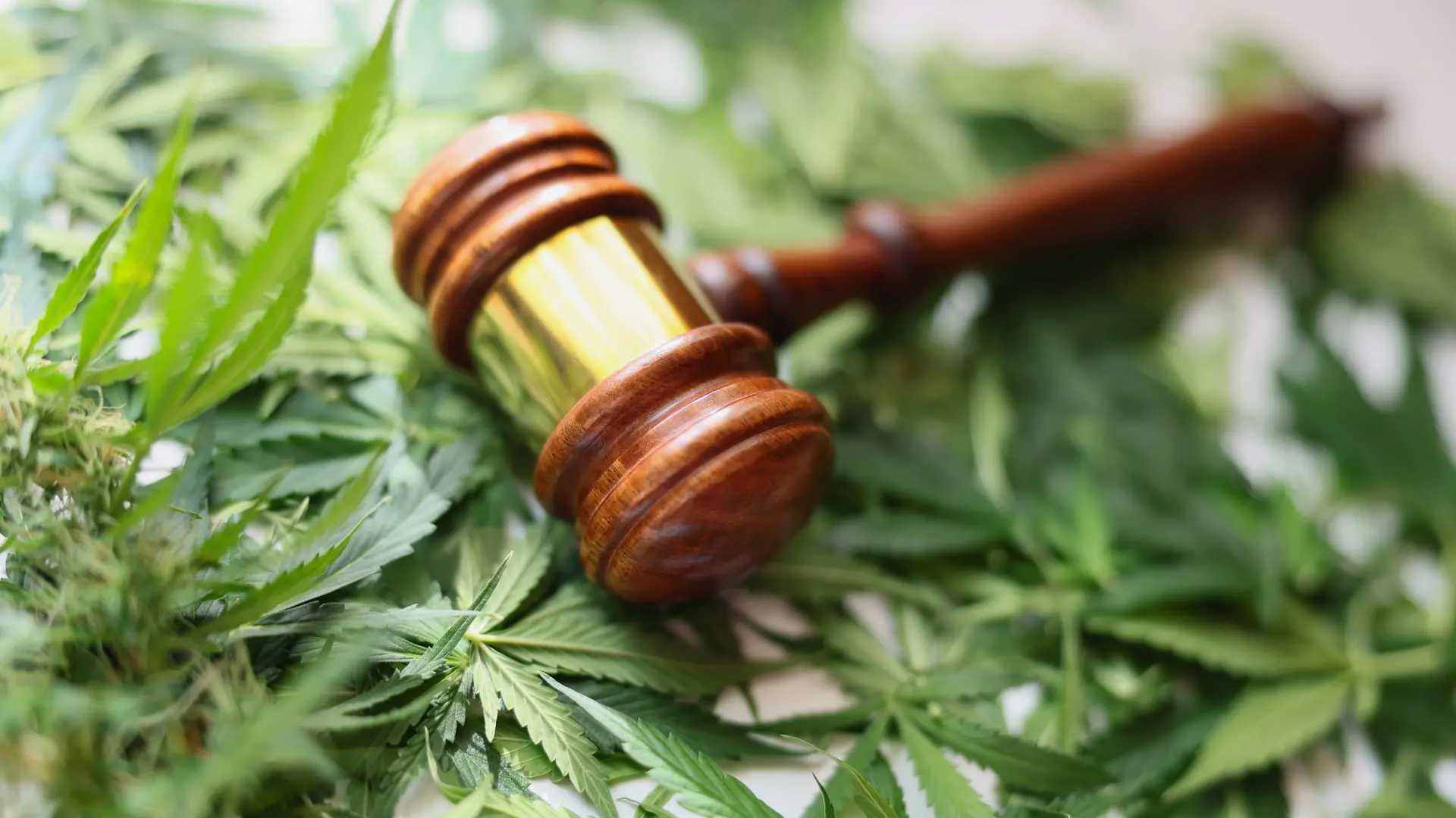 Ohio Cities That Don't Penalize Marijuana Possession
